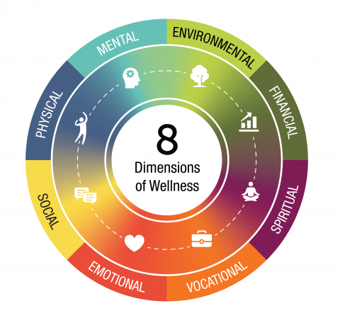 Rolling into Wellness: Your Path for Better Health | Massachusetts ...